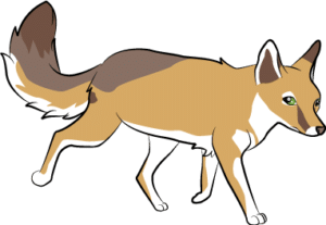 Swift Fox